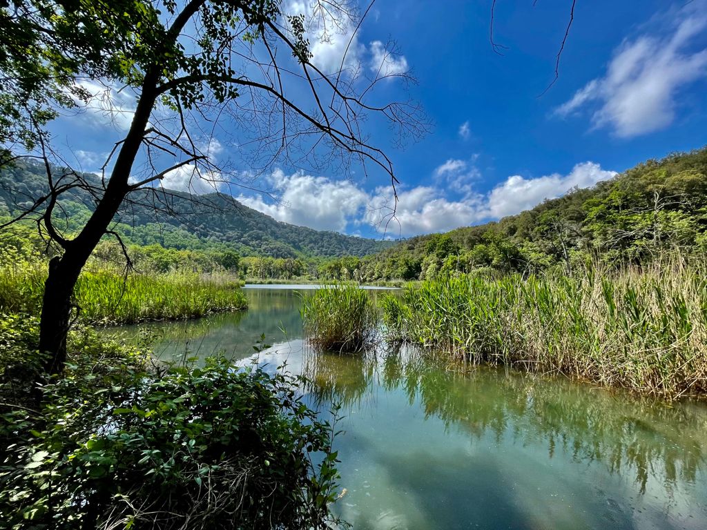 Parco Astroni WWF Junior Activities - Dream Your Italy