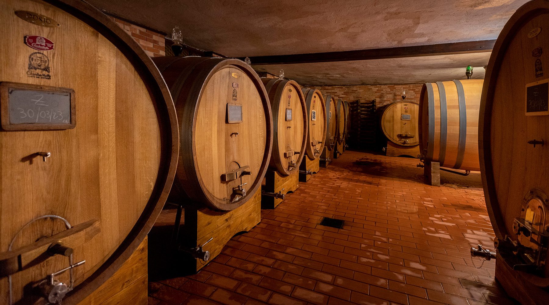 Dosio Vigneti - Dream Your Italy