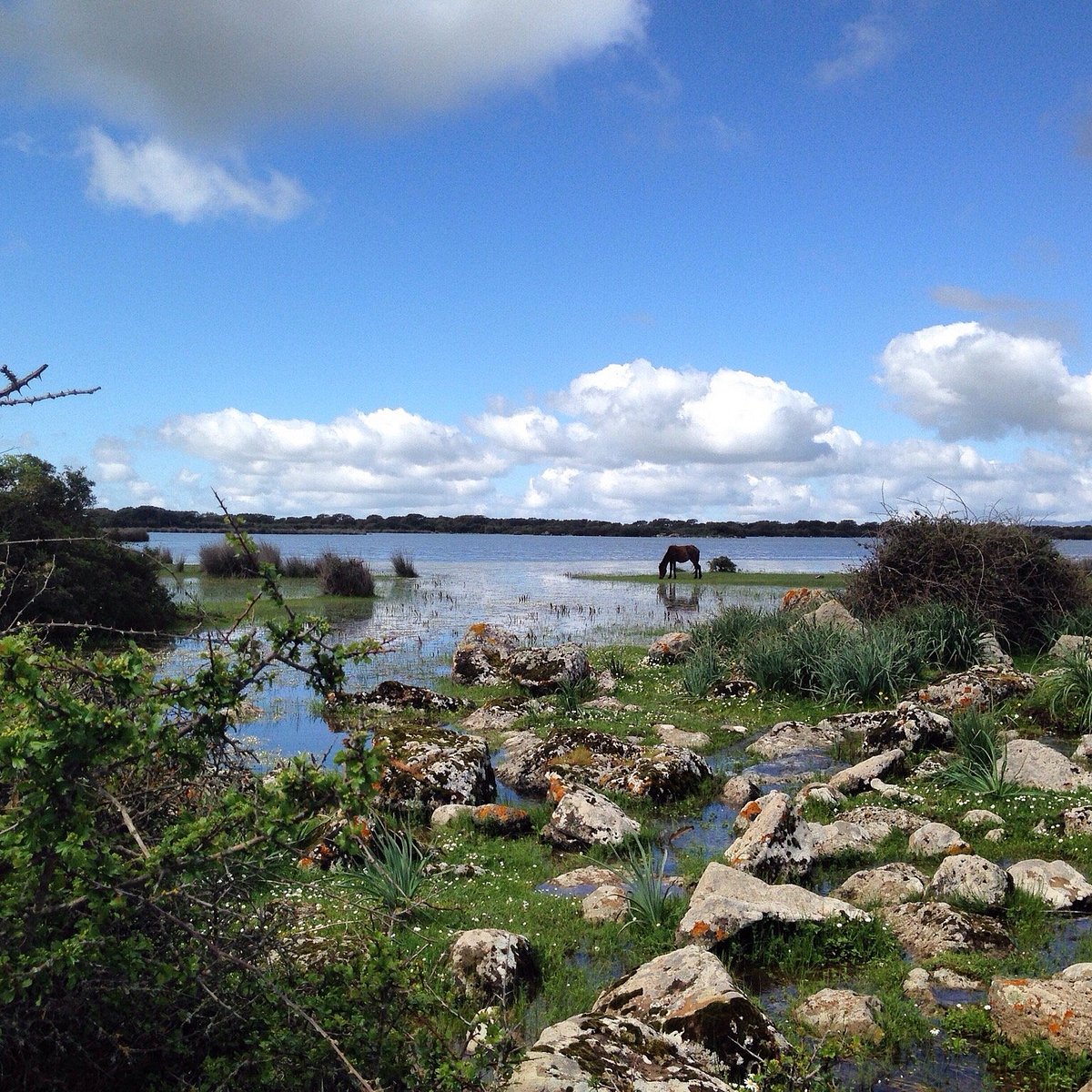 Parco della Giara - dream your Italy